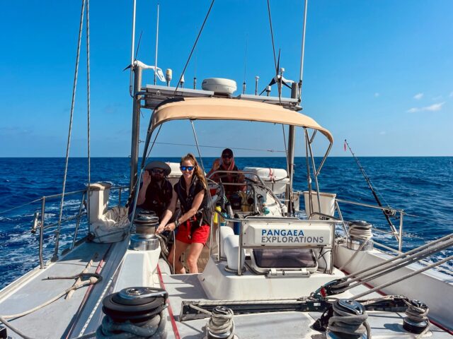Worldwide Adventure Sailing Expeditions